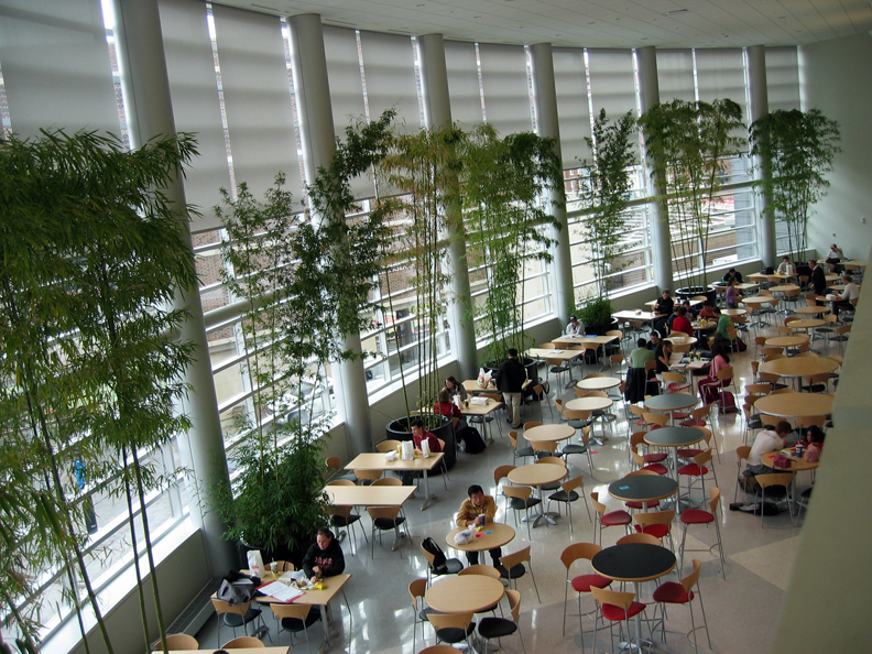 Rethinking Student Center Operations: A Strategic Case for Outsourcing - CENTERS